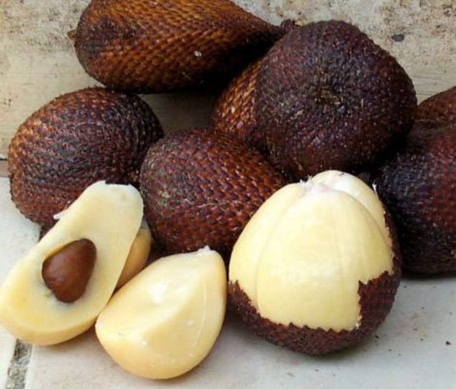 Hem adıyla hem faydalarıyla şaşırtan meyve: Salak Pondoh - Sağlık ve ...