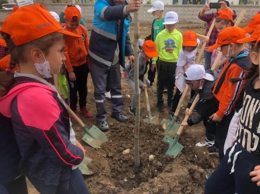 Bursa'da okullara enerji için 'ağaç borcu' kesiliyor - Bursa Haberleri ...