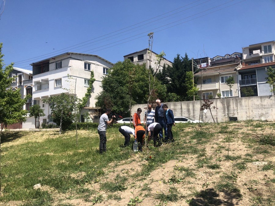 Bursa'da okullara enerji için 'ağaç borcu' kesiliyor - Bursa Haberleri ...