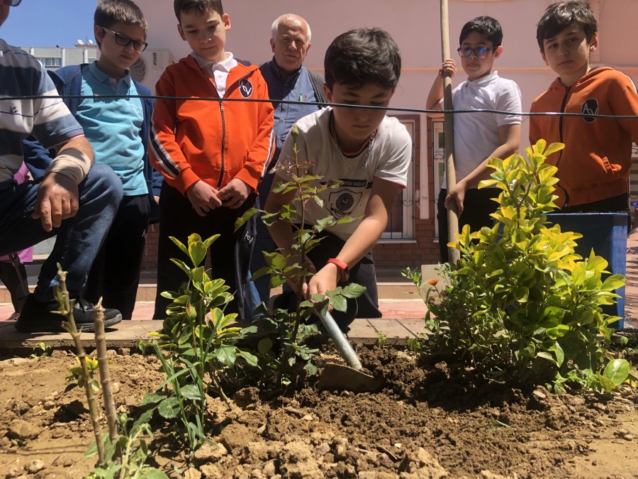 Bursa'da okullara enerji için 'ağaç borcu' kesiliyor - Bursa Haberleri ...