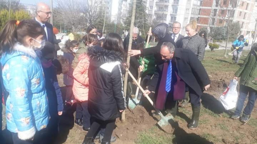 Bursa'da okullara enerji için 'ağaç borcu' kesiliyor - Bursa Haberleri ...