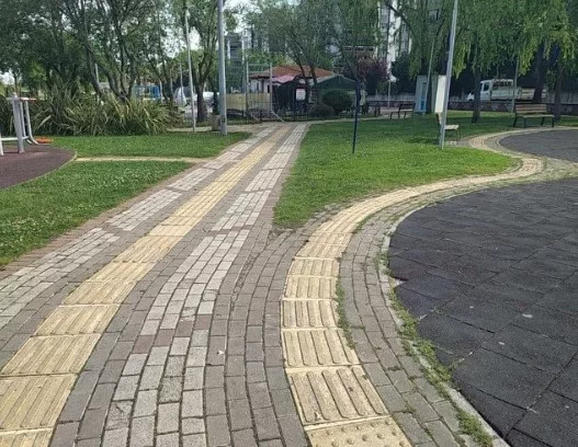 Bursa'nın gözde mahallesinde büyük ayıp! Muhtar kayda alıp isyan etti ...