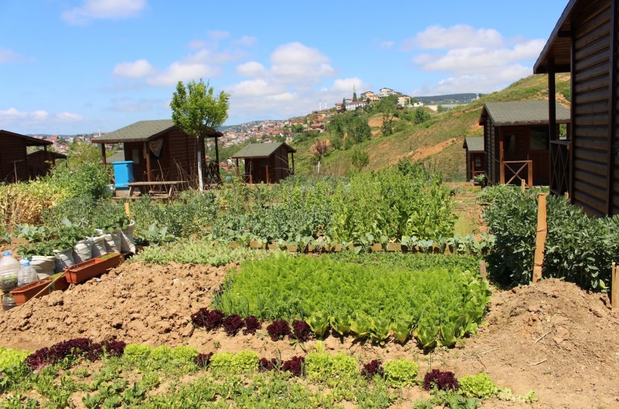 Hobi Bahçeleri ve Tiny House'lar hakkında kritik açıklama - Bursa ...