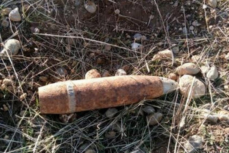 Hayvan barınağında havan mermisi bulundu - Güncel Haberler ...