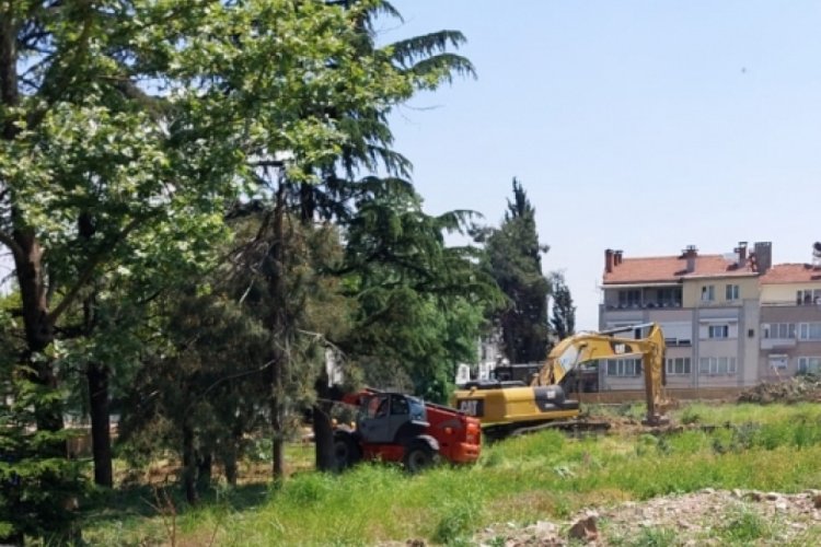 Bursa'da ağaç katliamı - Bursa Haberleri - Bölge Haberleri ...