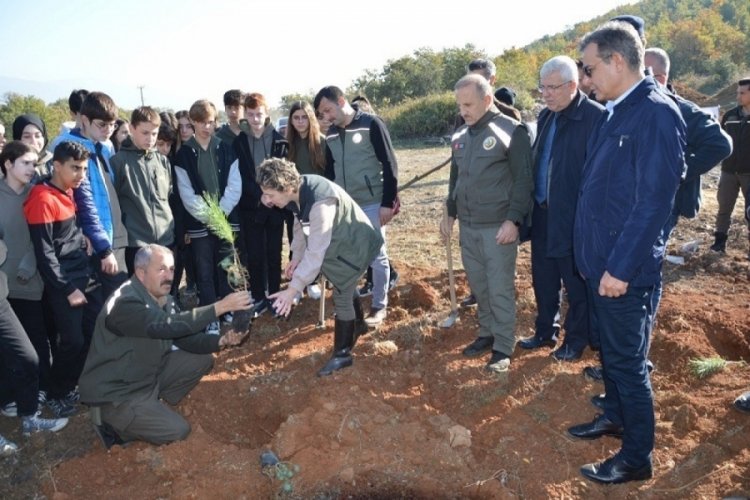 Bursa Orhangazi'de 'Ağaçlandırma Gününde' bin ağaç toprakla buluştu ...