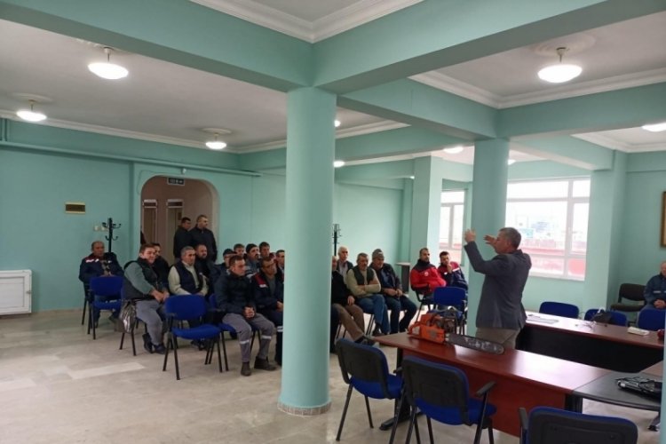 Bursa'da ağaç kesimi kursu - Bursa Haberleri - Bölge Haberleri ...