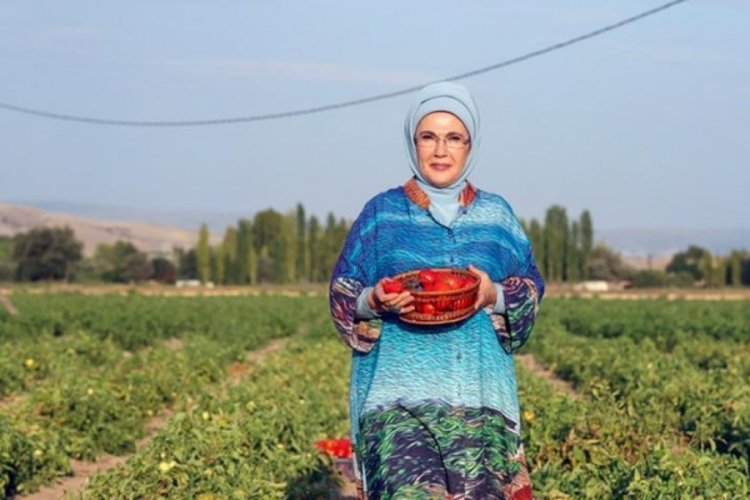 Emine Erdoğan'dan AB tescili alan Ayaş domatesi değerlendirmesi ...