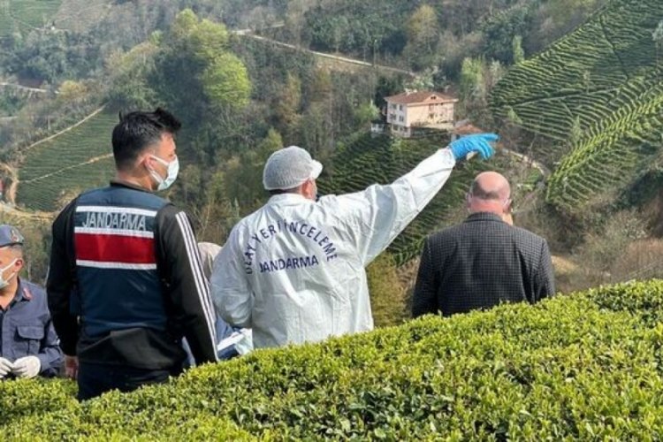 Rize'de çay bahçesinde başı kesilmiş cansız bir beden bulundu! - Güncel ...