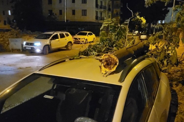 Şiddetli rüzgardan kırılan ağaç dalı aracın üzerine düştü - Güncel ...