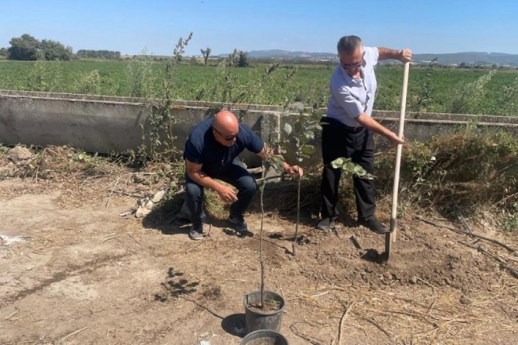 Bursa'nın 'Ağaççı Hoca'sından örnek davranış: Yanan her ağaç için 10 ...