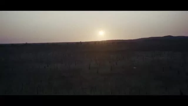 Kelly Çetesi'nin Gerçek Hikayesi - Bursadabugun.com