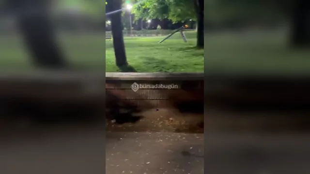 Bursa'nın gözde mahallesinde büyük ayıp! Muhtar kayda alıp isyan etti ...