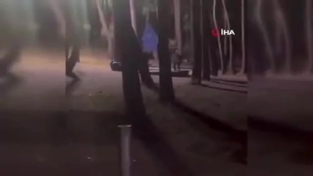 Bursa Kent Ormanı'nda ilginç görüntüler! Sürü halindeler ...
